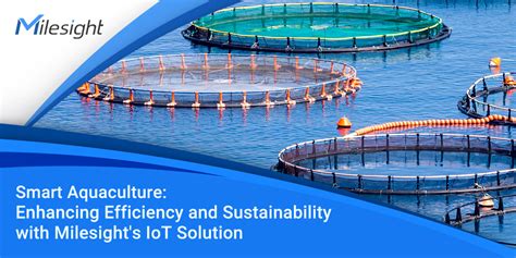 Temperature Sensor Pool Enhance Pool Efficiency With Accurate Temperature Monitoring