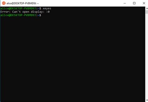 WSL Ubuntu And Export DISPLAY Barely Walking