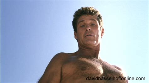 Spongebob Squarepants The Official David Hasselhoff Website