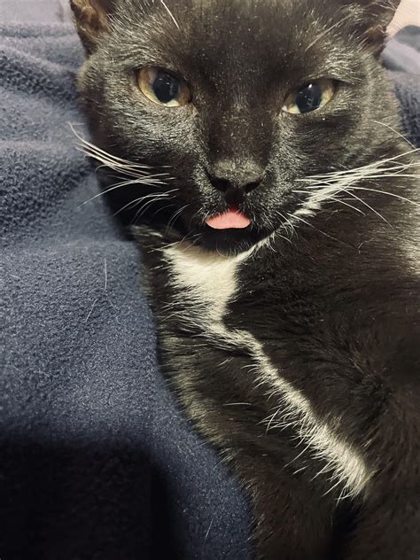 Blep Shes So Gorgeous Mi Negrita From Ecuador 🇪🇨🫡 R Blep