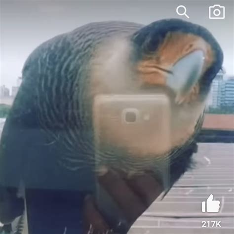 Lightning Guy Youtube