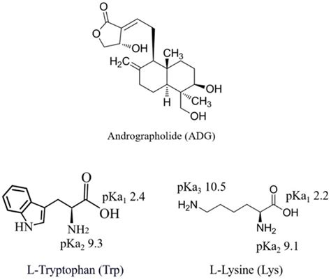 Co Amorphous Andrographolide Lysine With Unexpectedly Enhanced Solubility