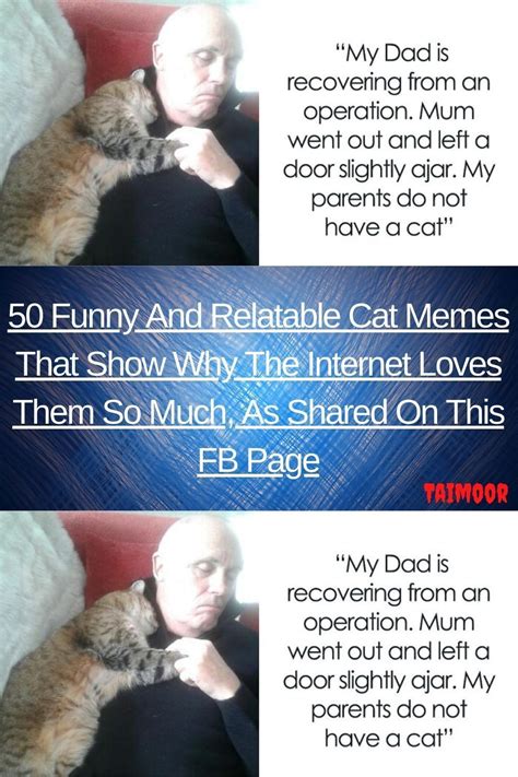 50 Funny And Relatable Cat Memes That Show Why The Internet Loves Them