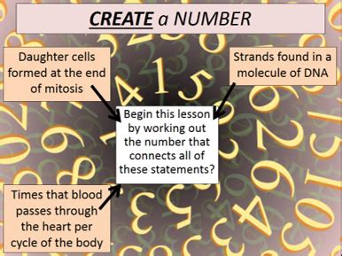 Sexual Reproduction Teaching Resources
