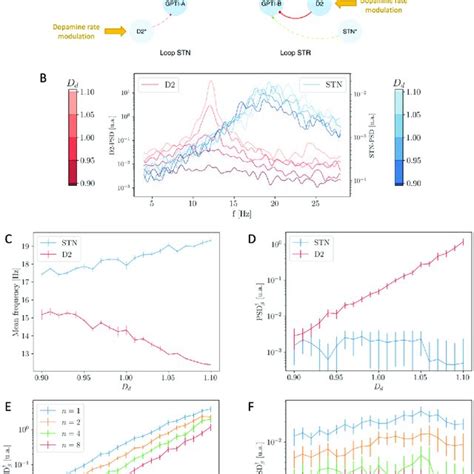 Effects Of Dopamine Depletion D D On The Complete Model A Schematic Download Scientific
