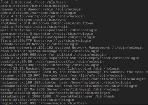 execute console command