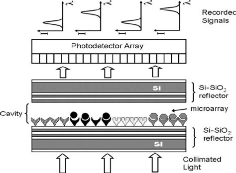 1 Resonant Cavity Imaging Biosensor Rcib Setup Download Scientific Diagram
