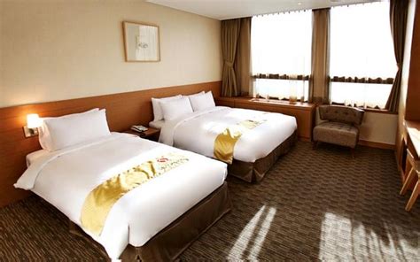 호텔 스카이파크 센트럴 명동점 호텔 리조트 스탠다드 룸 → 디럭스or트리플 무료 룸 업그레이드 사진 예약 후기 Nol