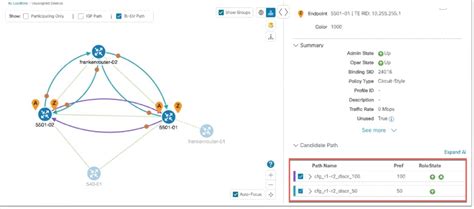 Cisco Crosswork Optimization Engine 5 0 User Guide Sr Circuit Style