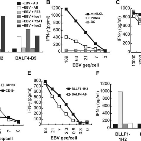 CD4 T Cell Memory To Lytic Cycle Proteins Of EBV In The Peripheral