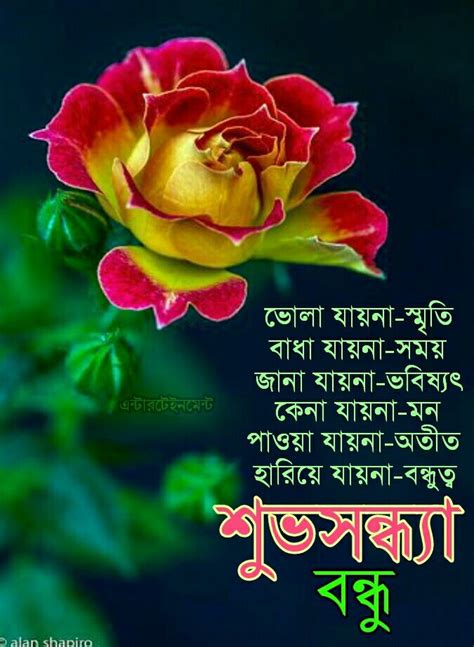 Good Afternoon Quotes In Bangla