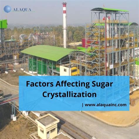 Alaquainc — Factors That Affect Sugar Crystallization