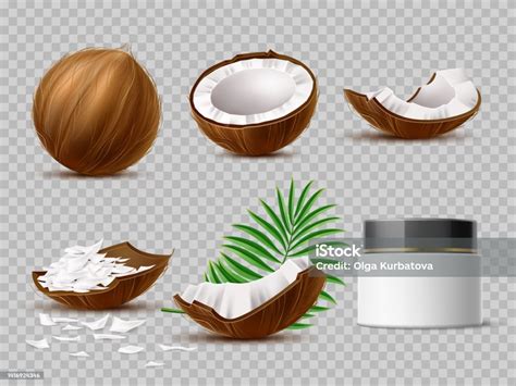 현실적인 코코넛 빈 버터 포장 크림 항아리 전체 절반 및 조각 너트 녹색 야자 잎 자연 건강한 건조 생 식품 3d 이국적인 식물 유제품 또는 화장품 완전 벡터 분리 세트 3