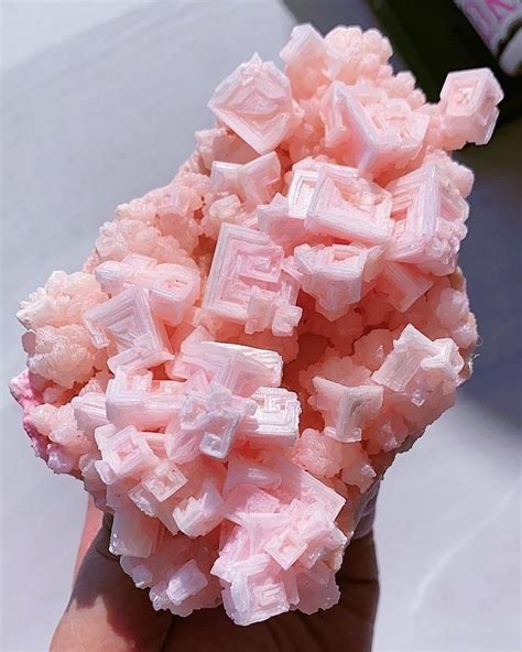 Pink Halite California Usa Crystals Rocks And Minerals Gems And