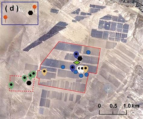 Large Scale Pv Has Positive Environmental Effect On Desert Areas Pv Magazine India