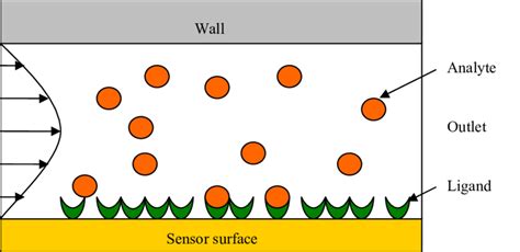 Schematic Representation Of The Analyte Ligand Interaction Download