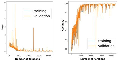 Example Of The Training Validation Loss And Accuracy Of The Resnet18 Download Scientific