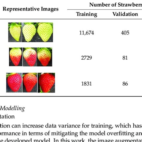 Summary Of The Dataset Used For Object Detection Modelling Download Scientific Diagram
