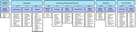 Flow Chart Of Response Categorization Measured Responses That Were