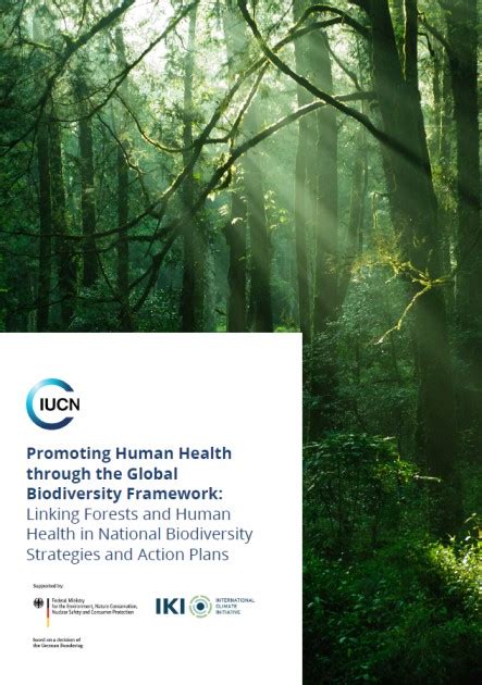 Promoting Human Health Through The Global Biodiversity Framework Linking Forests And Human