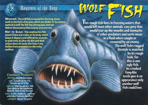 Wolf Fish Weird N Wild Creatures Wiki Fandom