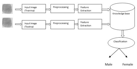 General Steps Of Classification System Download Scientific Diagram