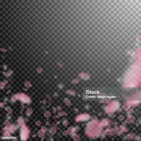 아래로 떨어지는 사쿠라 꽃잎 로맨틱 핑크 꽃 비가 떨어지는입니다 투명 한 광장에 플 라 잉 꽃잎 간통에 대한 스톡 벡터 아트 및 기타 이미지 Istock