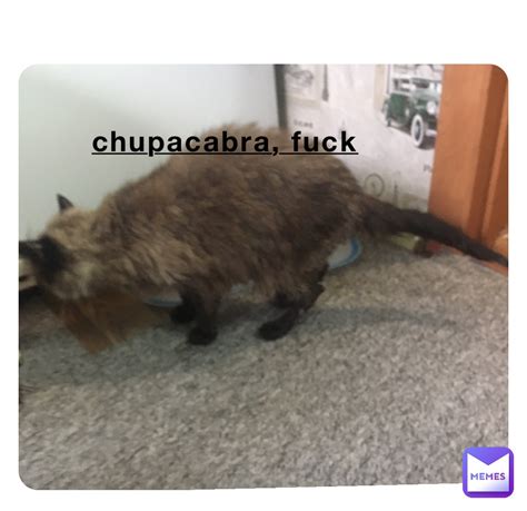 Chupacabra Fuck Fjyw6q6pvk Memes