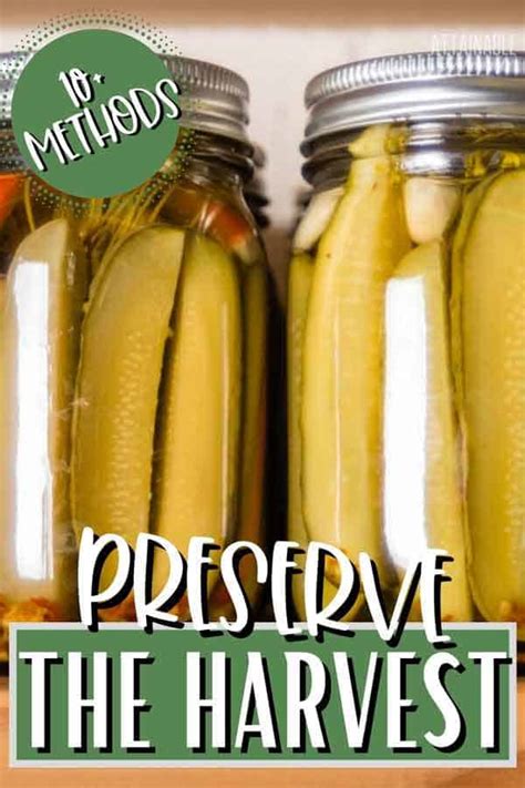10 Easy Home Food Preservation Methods Attainable Sustainable®
