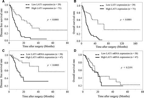 Survival Analysis Upper Part Survival Analysis Of 110 Pancreatic