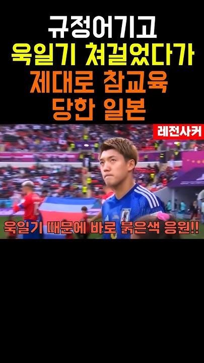 욱일기 쳐걸었다가 제대로 털린 일본 Shortvideo Shortsvideo Short Shorts 쇼츠 월드컵 축구 한국 일본 독일 손흥민