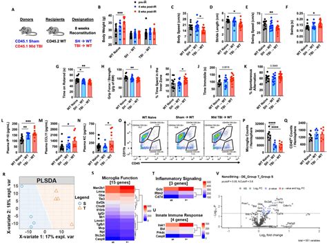 figure 5 from the brain bone marrow axis and its implications for
