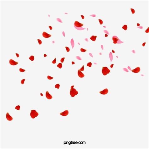 붉은 장미 일러스트 꽃잎이 흩어지다 장미 클립 아트 빨간 뿔뿔이 흩어진 Png 일러스트 및 Psd 이미지 무료 다운로드