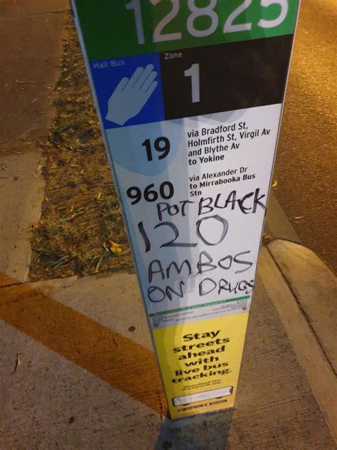 What The Hell Does This Mean Rperth