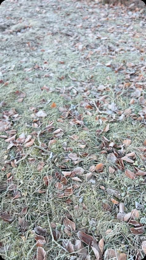 딸공•지은 엄마가 아팠고 그래서 갑자기 또 보호자가 되었고 검사를 안한것도 아닌데 이보다 더 얼마나 자주 날씨도 요상하고 인생도 요상하지 거 참 나 고추 8