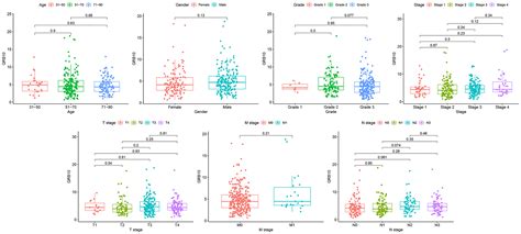 Grb10 Is A Novel Factor Associated With Gastric Cancer Proliferation And Prognosis Figure F2