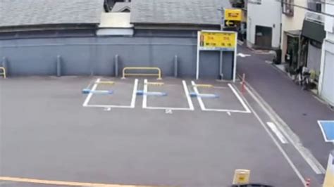 Coco Augmented Seg Instance Segmentation Dataset By Yolov