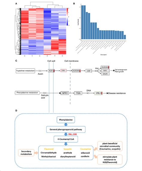Transcriptome Experiments Data Analysis A Expression Profiles Of Download Scientific