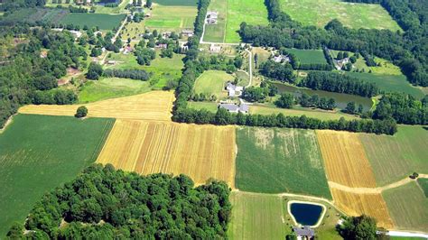 НОВИНИ Dfz Public