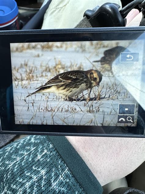 how do i invert a binary christmas tree r programmerhumor