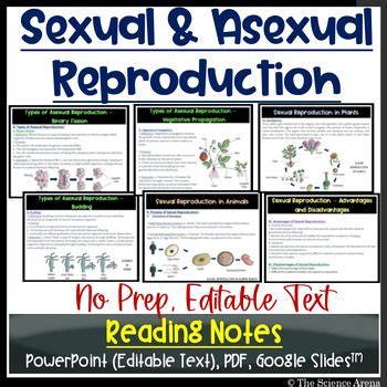 Pin On Best Of The Science Arena