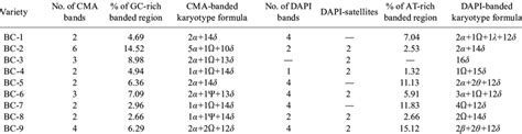 Comparative Cma And Dapi Karyotype Analysis In Nine Varieties Of Cicer Download Table