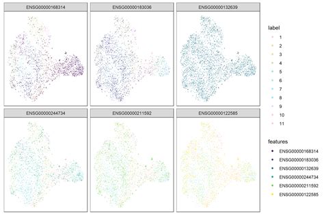 Visualizing Singlecellexperiment Or Spatialexperiment Objects Visualizing Single Cell Data