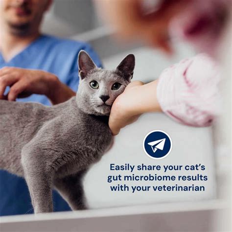 Kittybiome Gut Health Kit Test Your Cats Microbiome At Home