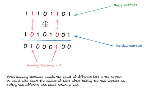 What Is Binary Vector System