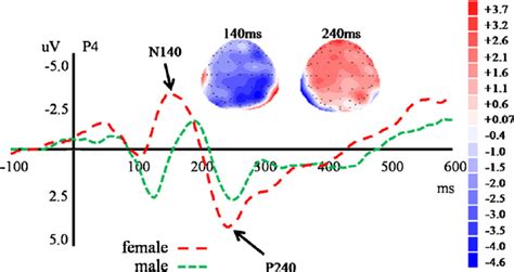 Grand Average Waveforms For Males Dotted Line And Females Dashed