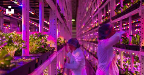 흰색 드레스 셔츠를 입은 남자 옆에 서 있는 분홍색 드레스를 입은 여자 사진 Unsplash의 무료 시찰 이미지