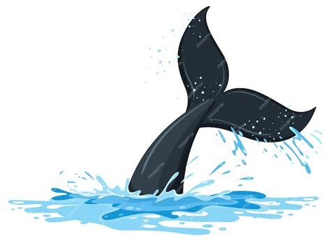 Free Vector Tail Of Whale In The Water