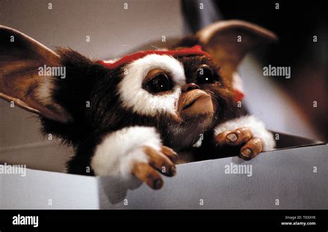 Gizmo Gremlins Rambo