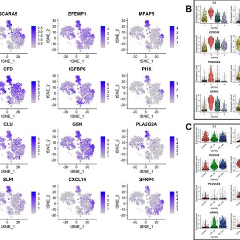 Top 16 Most Upregulated Genes In Cluster 3 A B C As Above